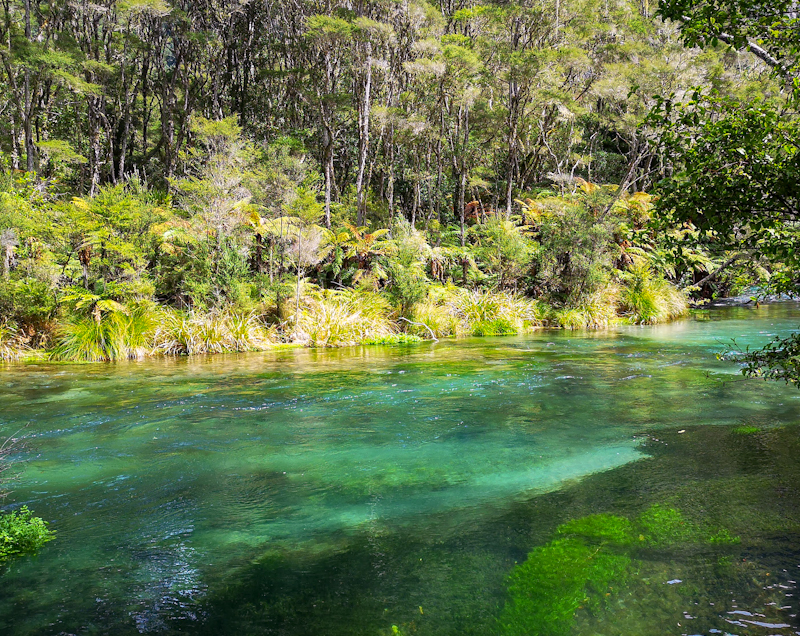 Tarawera River – Kawerau